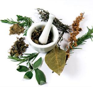 Hierbas provenzales, Condimento