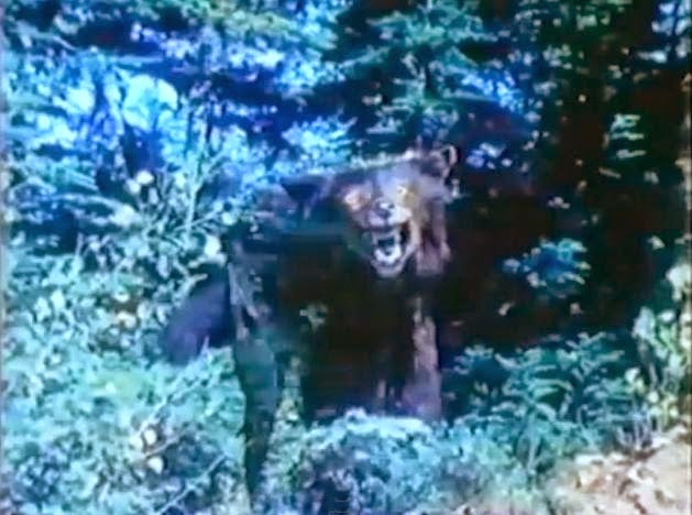 The Bloody Pit of Horror: Claws (1977)