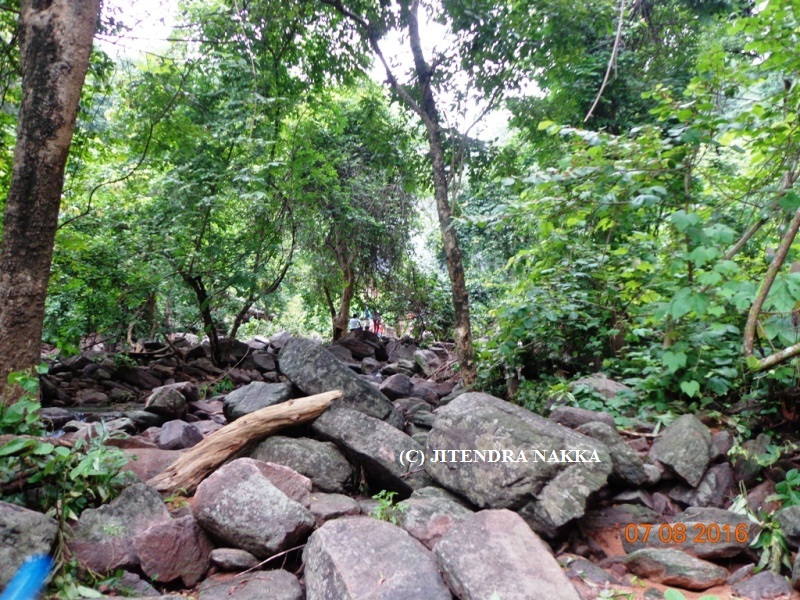 Chingra-pagaar Waterfall, Baruka, Gariyaband ~ Quest Chhattisgarh ...