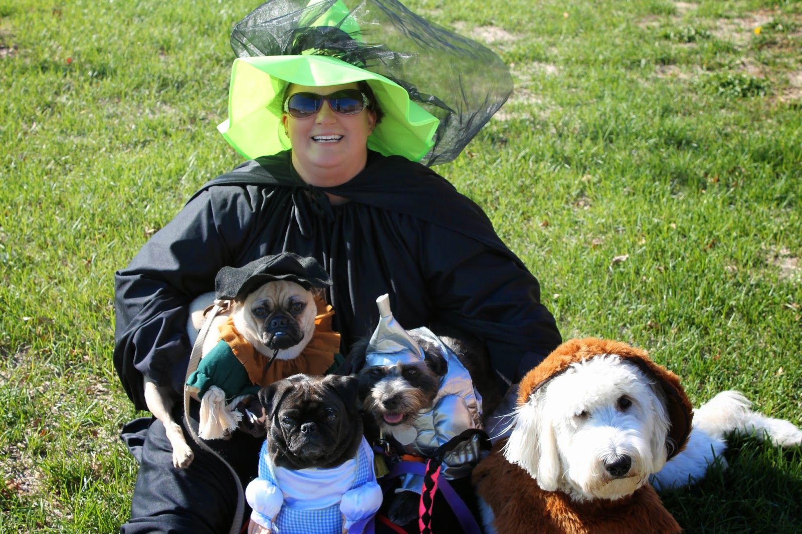 Docent with a Dog Blog