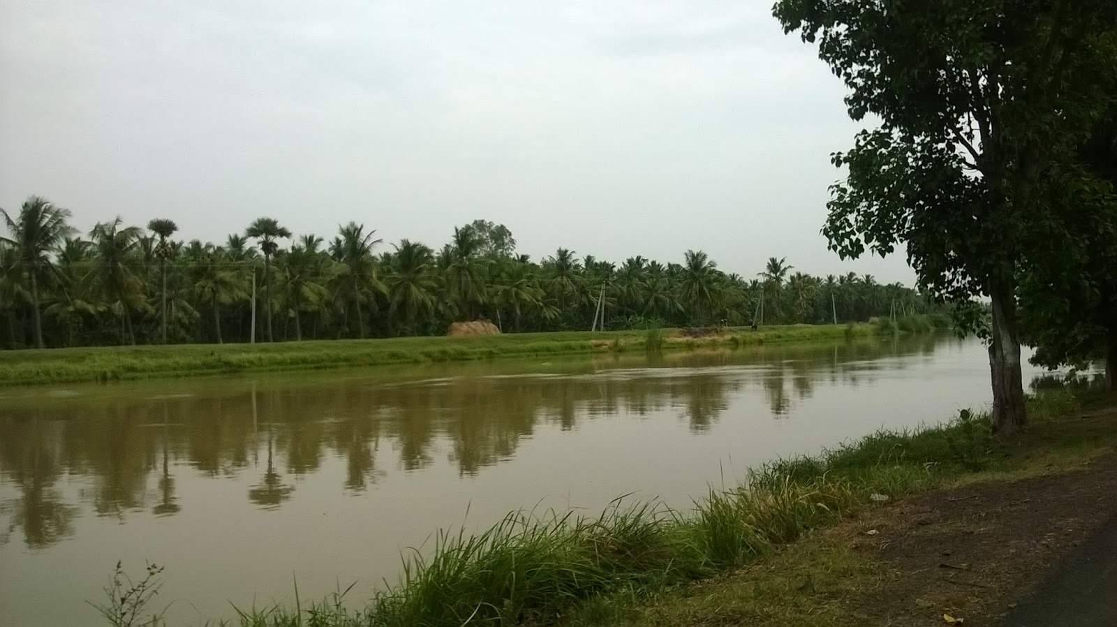 Explore RAJAHMUNDRY: # Sri Venkateswara Swamy Temple,Vadapalli