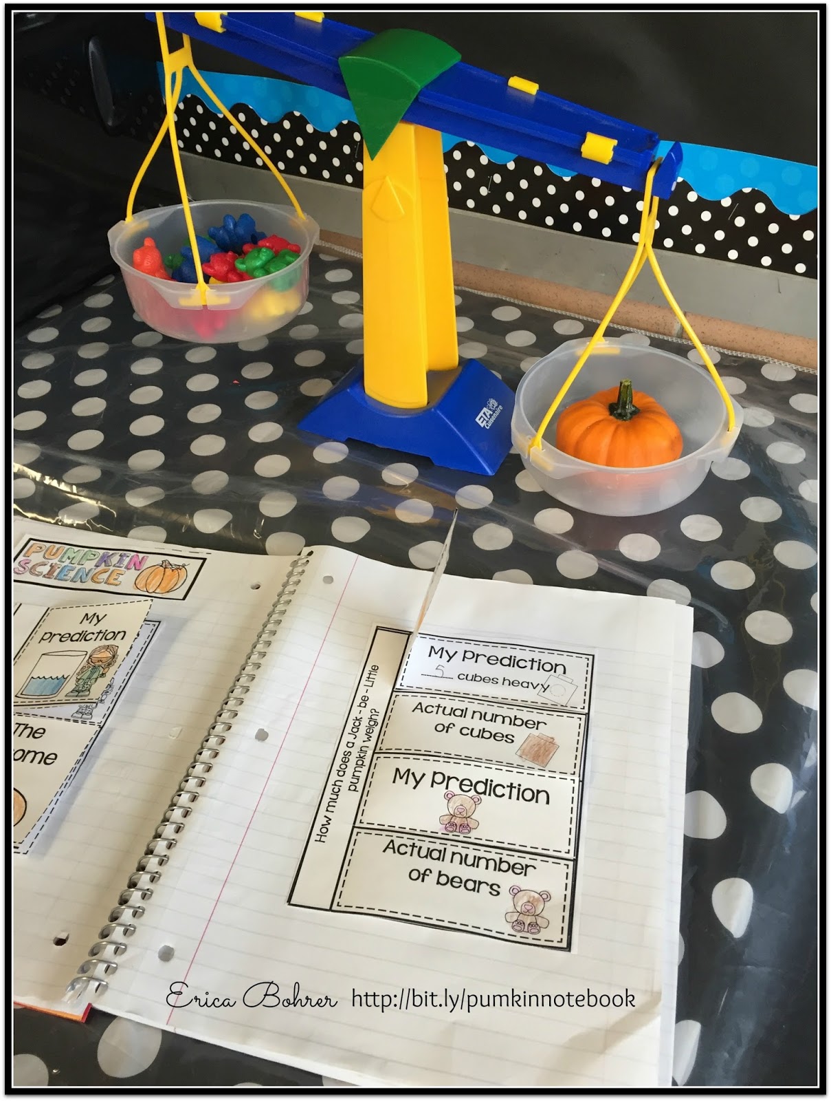 Pumpkin Interactive Science Notebook