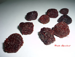 Fruit Species: YANGMEI