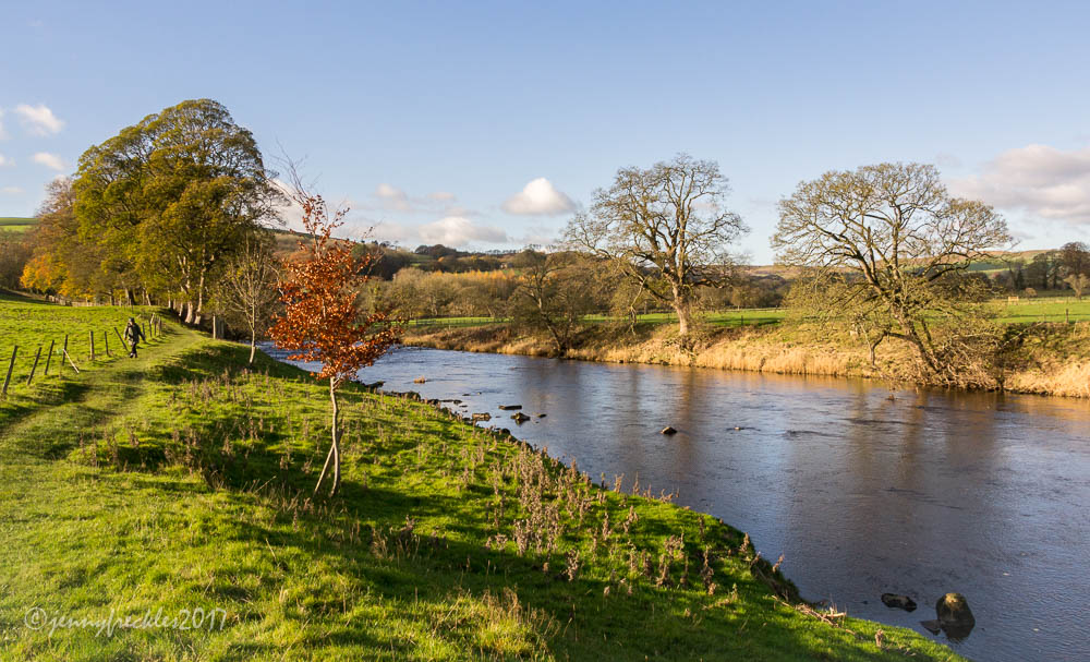 Saltaire Daily Photo: River Wharfe at Addingham