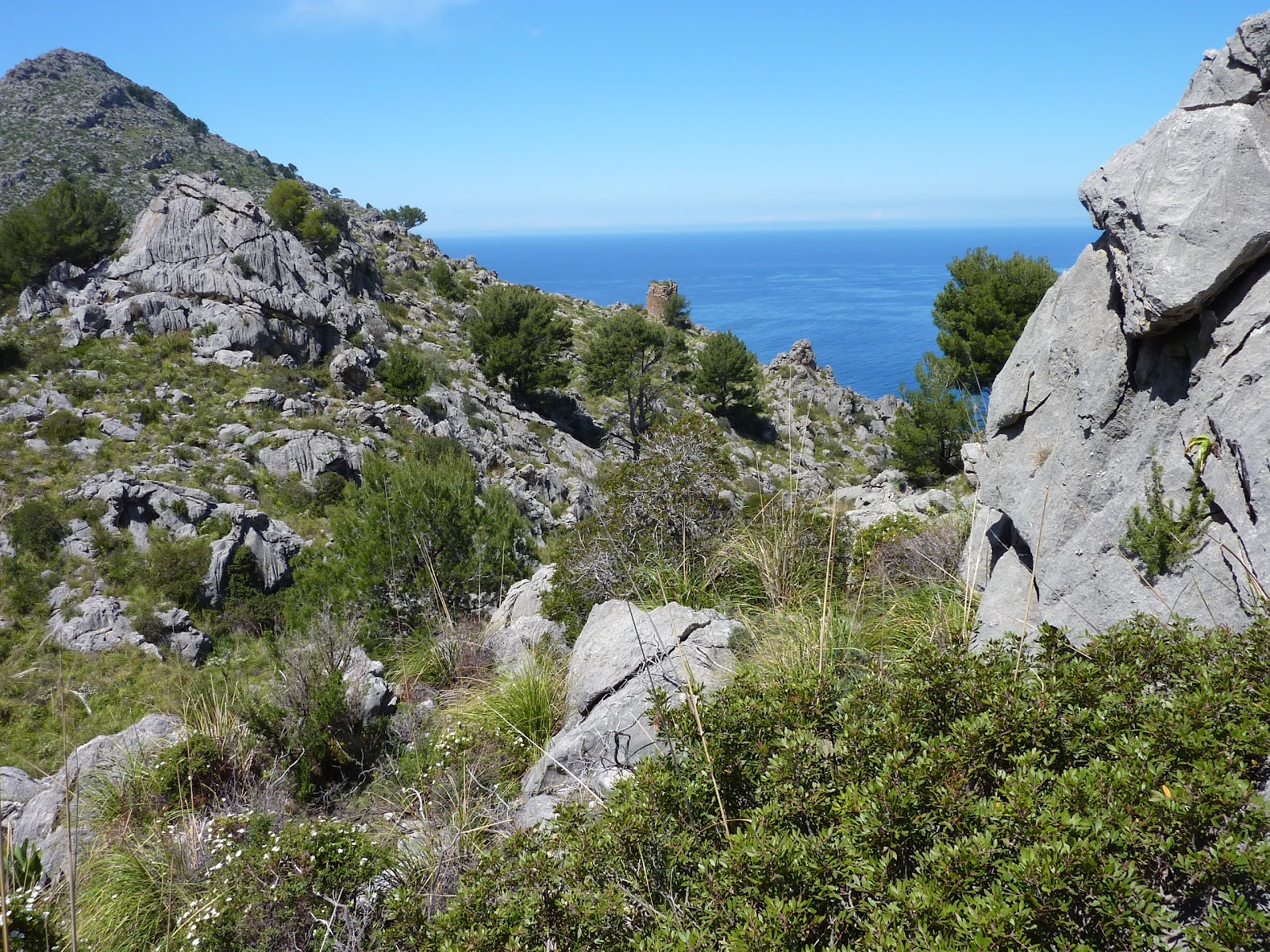 30 - Torre des Bosc pel camí de s'Hort 1-5-2012 | Aires de la Serra ...