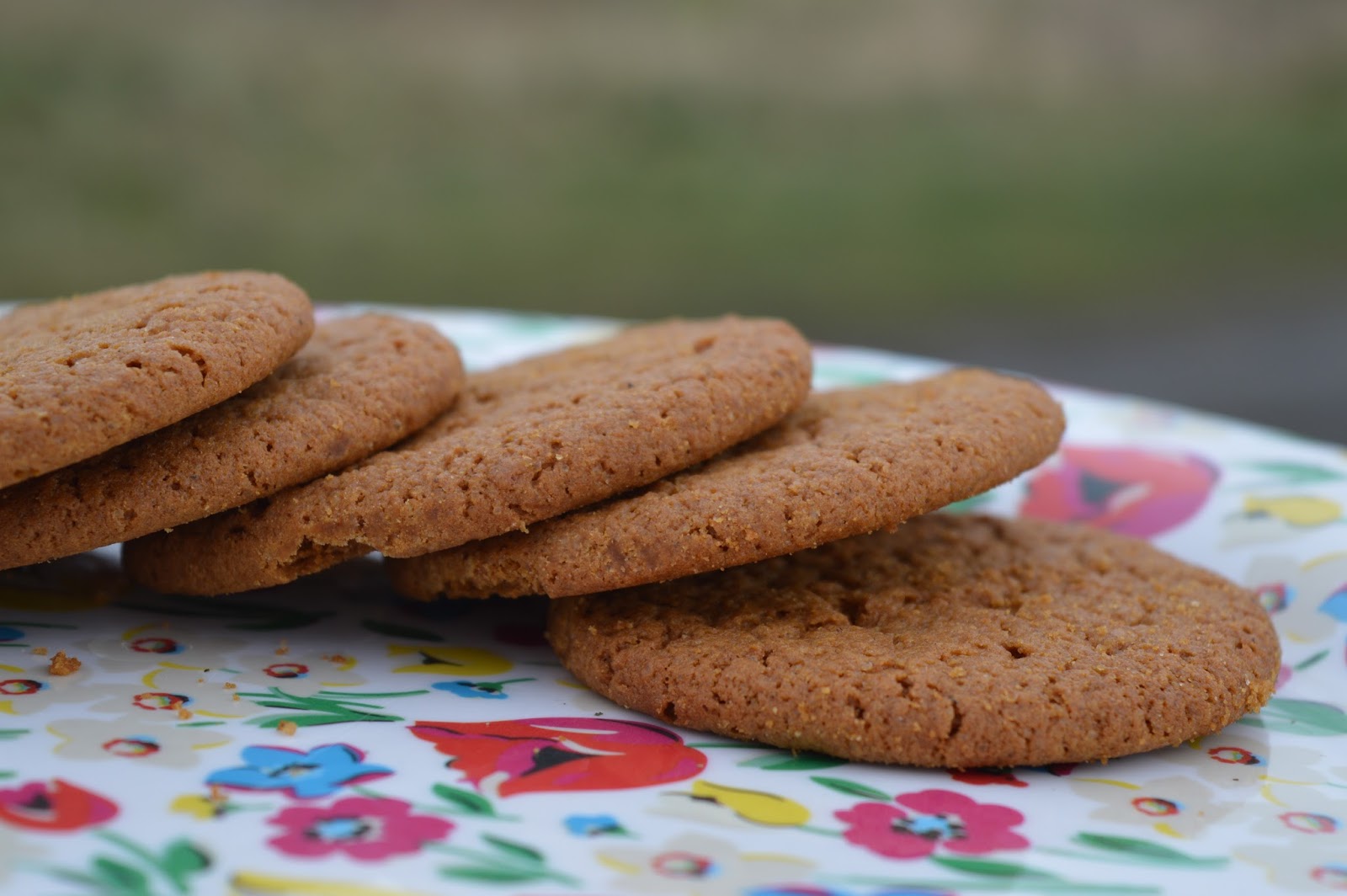 A trip to Warkworth Beach with Ringtons | North East Family Fun