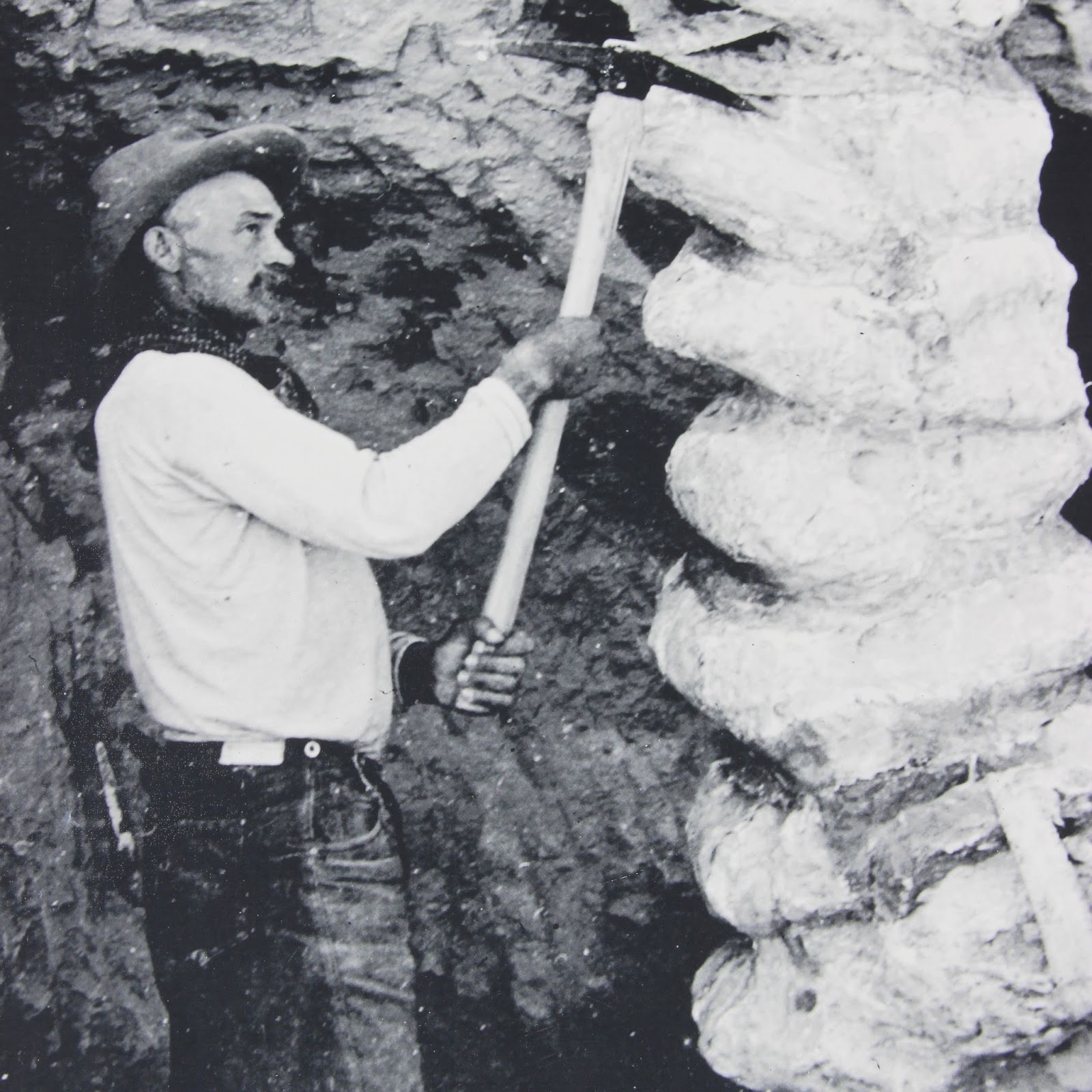 In the Company of Plants and Rocks: Northwest Nebraska during Peak Mammal