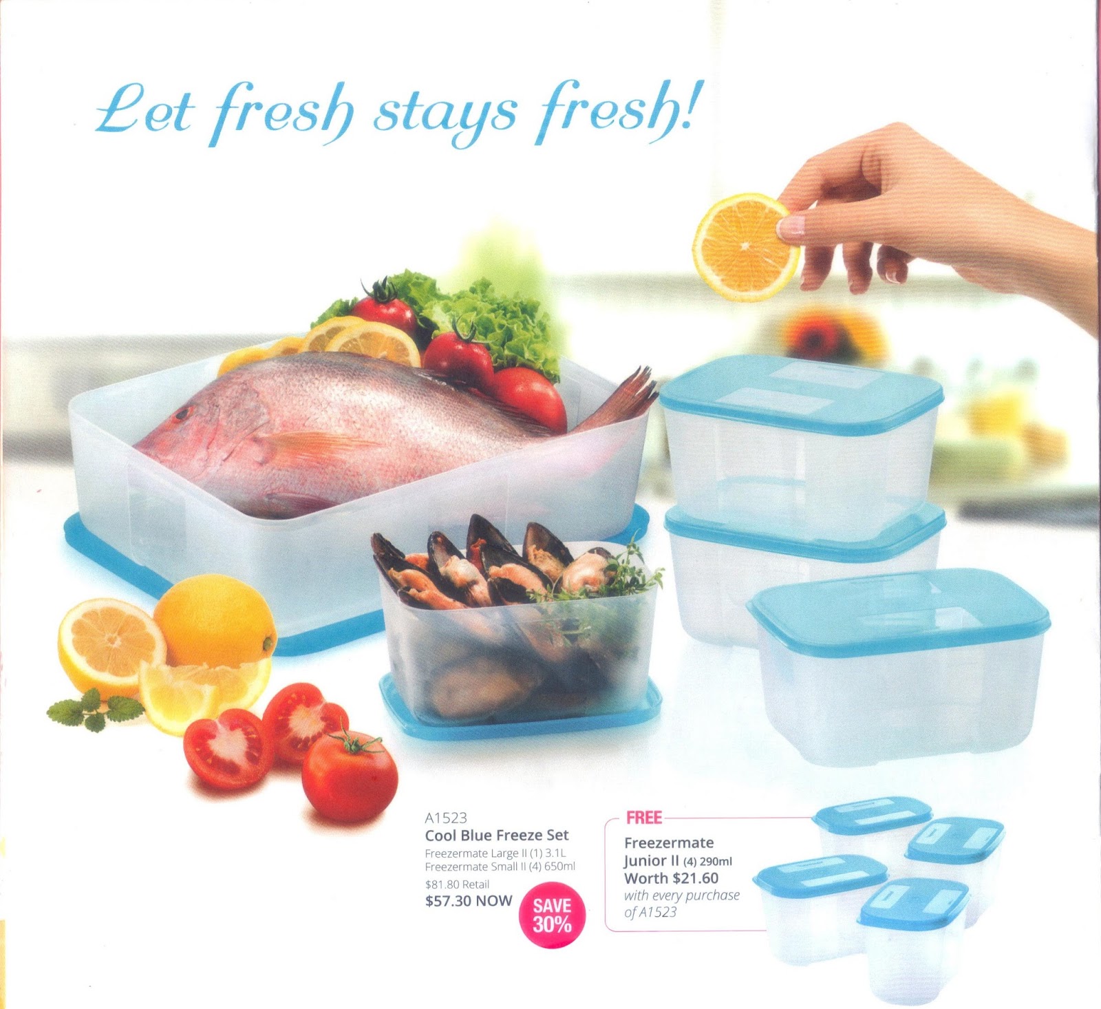 Tupperware Special from July 2007 onwards: Extravagant Holidays