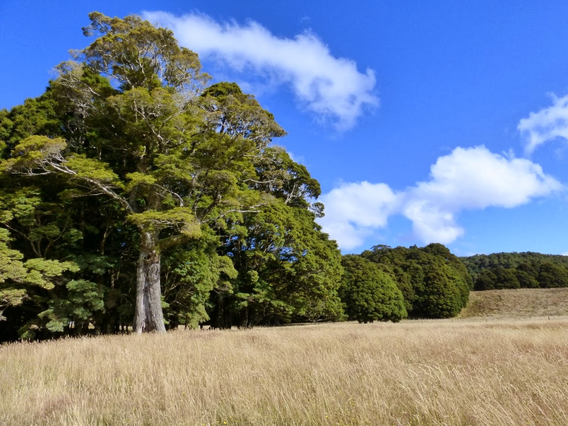 The Road Goes Ever On: Chetwood Forest And Beyond