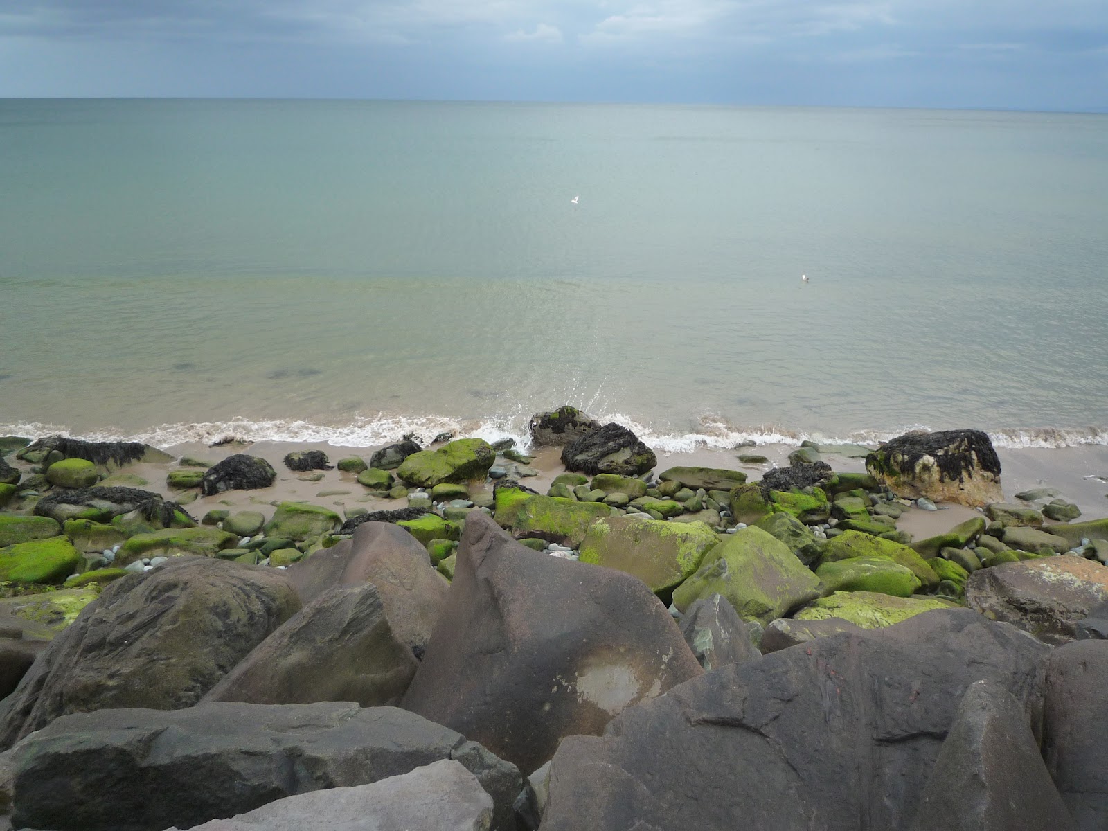 round the rails we go: Escape from Shell Island