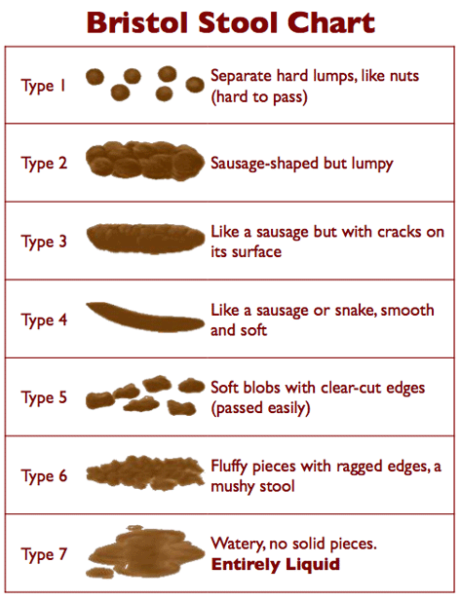 Are you too lazy to live?: How is your bowel movement? Stool chart analysis
