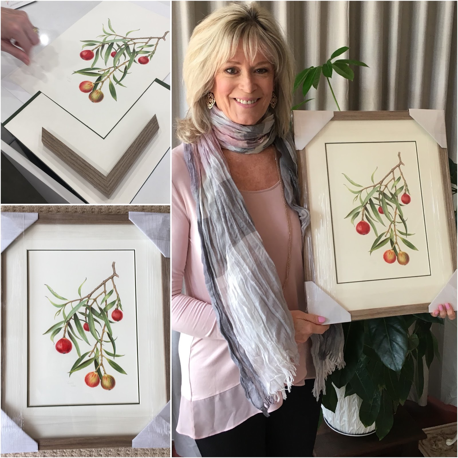 Vicki Lee Johnston - Botanical Art: Botanical Art Worldwide ...