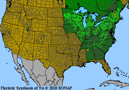 Restoring The Landscape With Native Plants: Native Plant of the Week ...