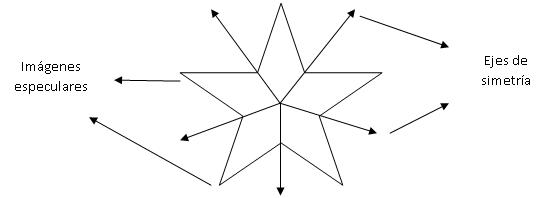 Tareas, ensayos, opiniones y chistoretes : Simetría Bilateral y locomoción