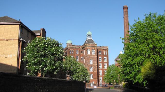 The Glebe Blog: Pictures of Paisley