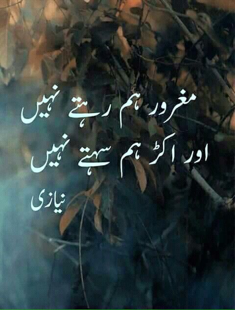 100 Achi Batain With Images