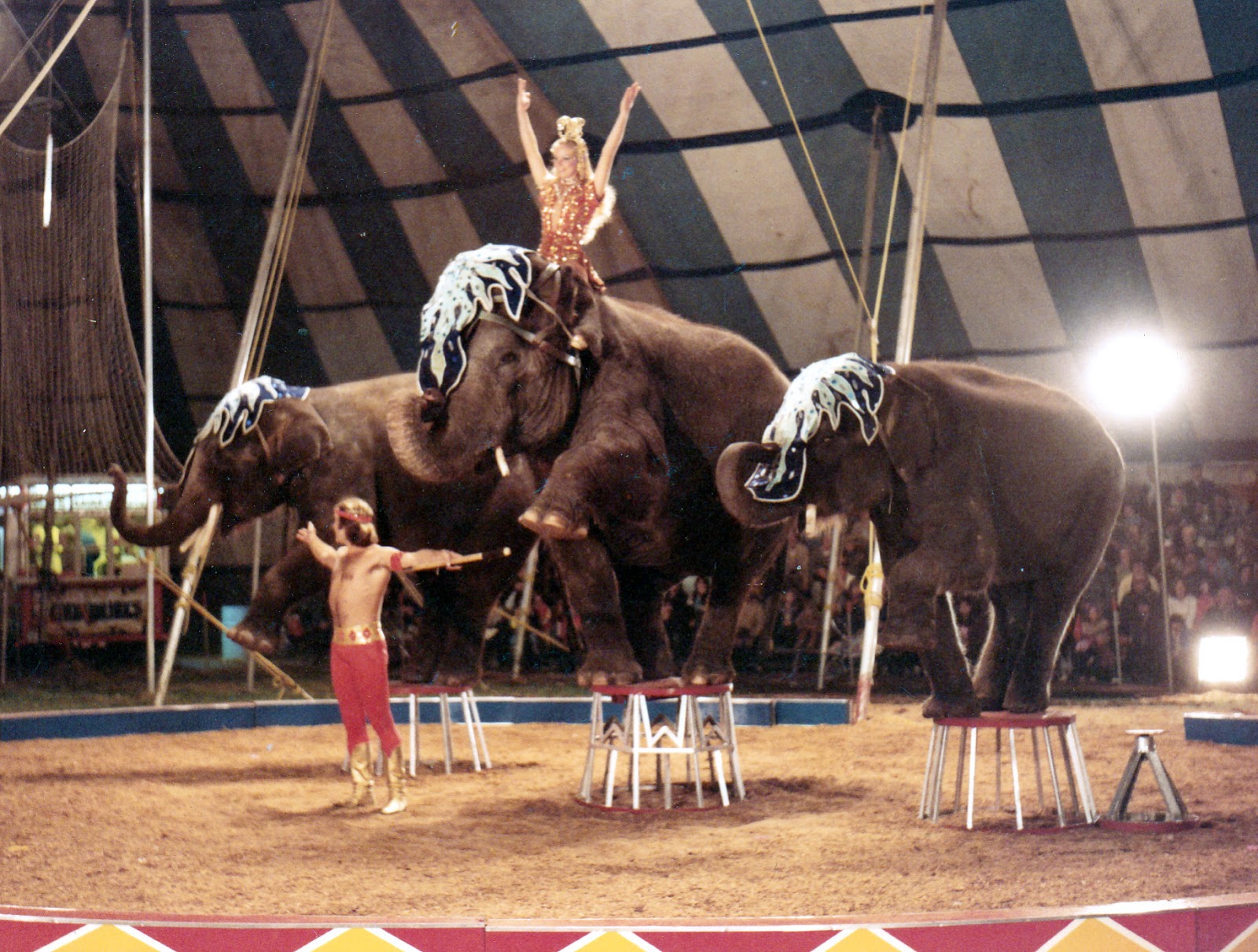 Buckles Blog: Micky MacDowell #6