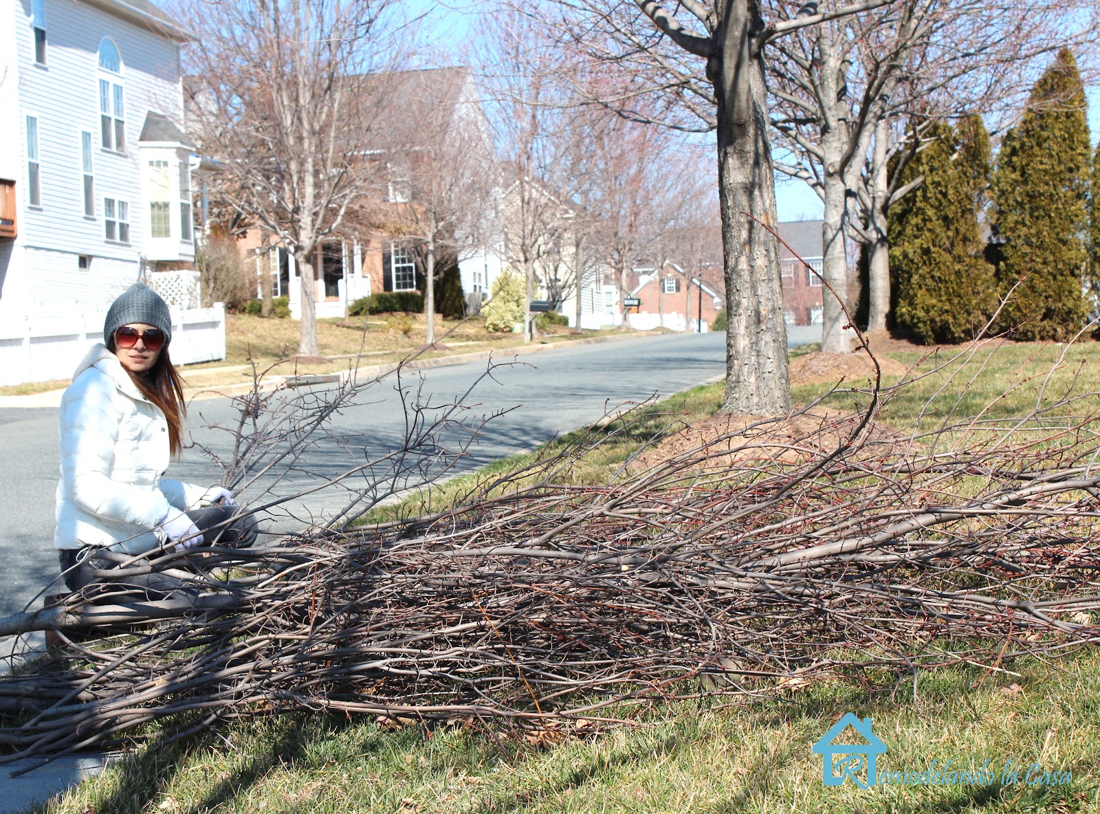 Decorating with Tree Branches - Remodelando la Casa