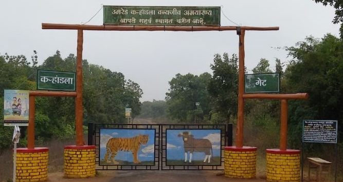 Umred Pauni Karhandla Gothangao Wildlife Sanctuary: Rate & Online Booking