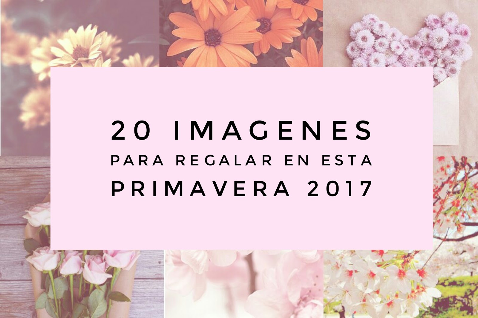 Imagenes Bonitas y Pensamientos Positivos: 20 Imagenes de Flores para ...