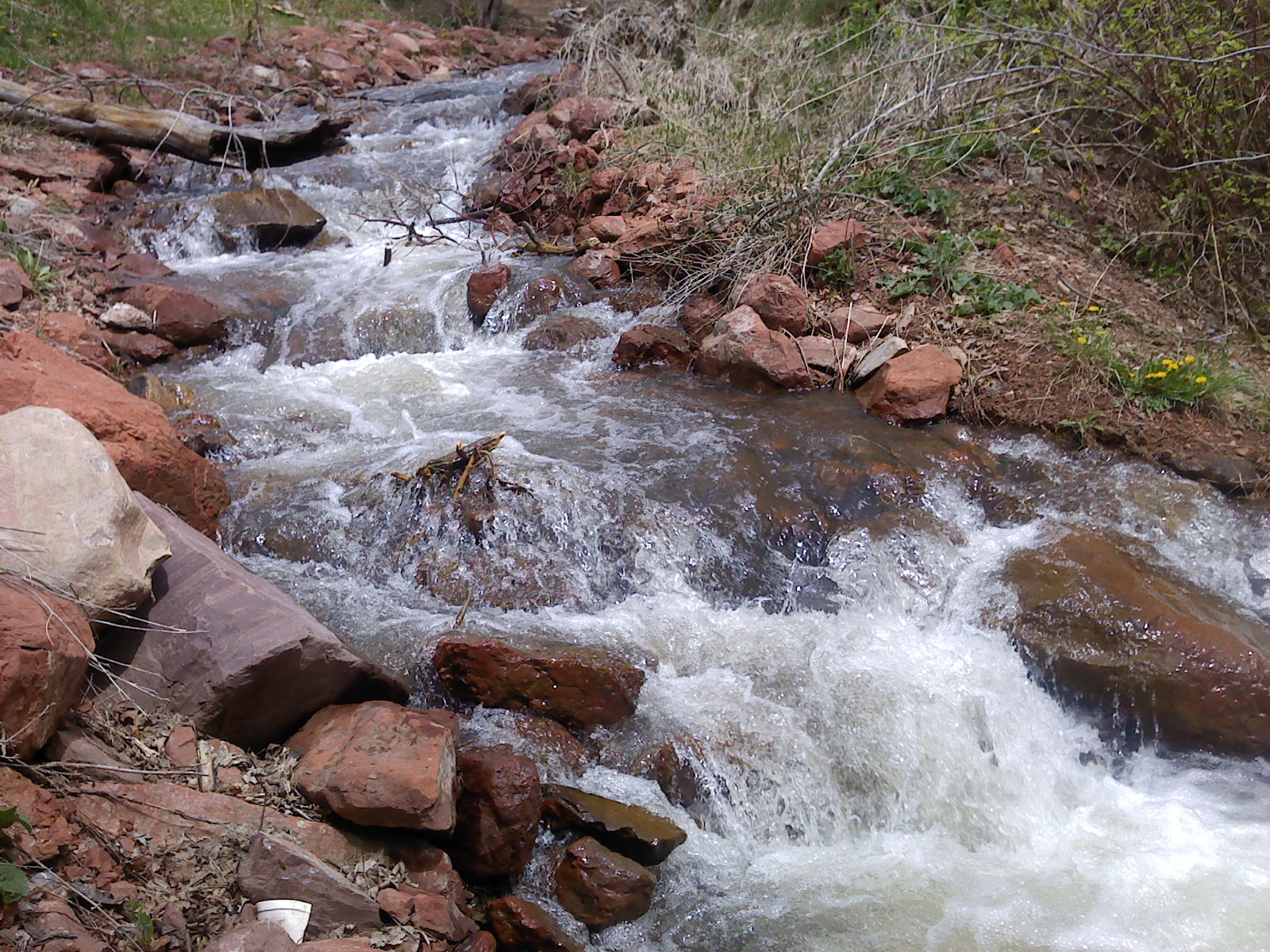 lake•salt•knit: Red Butte Creek