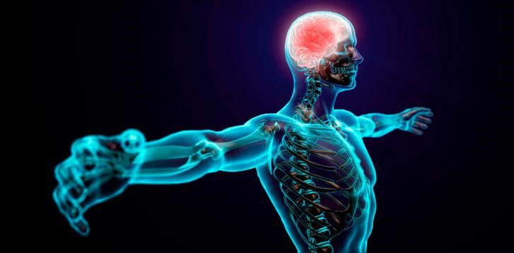 Biofïsica : SISTEMAS BIOFÍSICOS Y BIOELECTRICOS