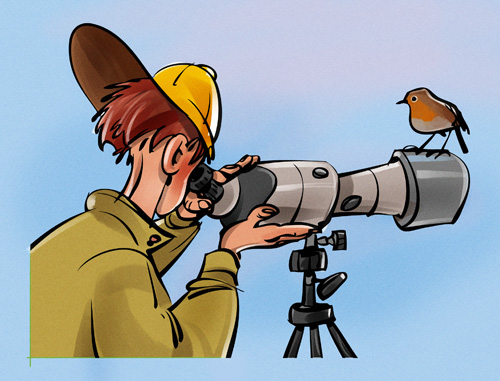 The Birdist: Birds at Large: Birds Sitting On Birdwatcher's Heads