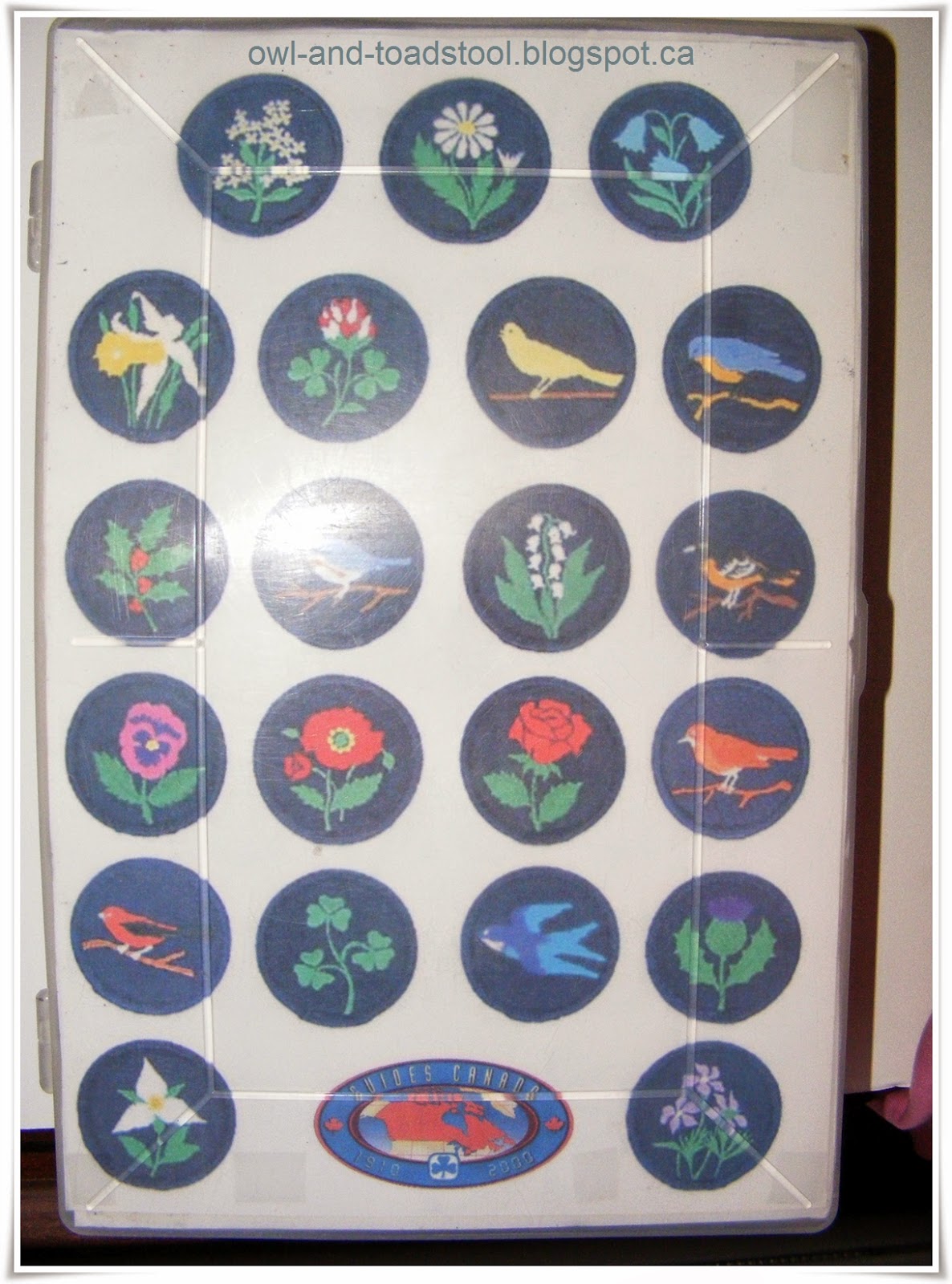 Owl & Toadstool: Girl Guides Badge Organization