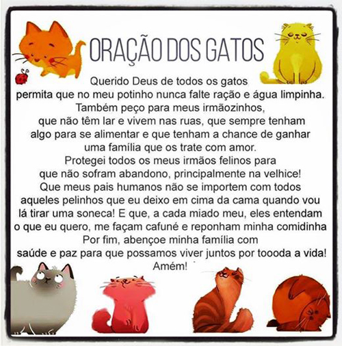 Luiza's Blog: ORAÇÃO DOS GATOS