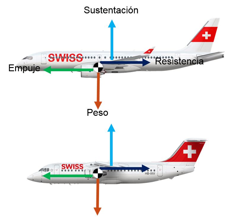 Ala alta vs ala baja