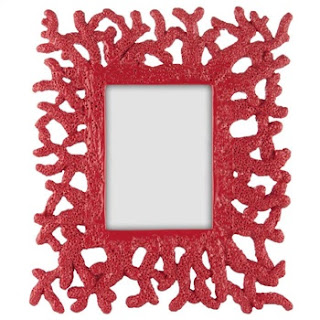 Seashells and Southern Belles: Crazy For Coral - Picture Frames