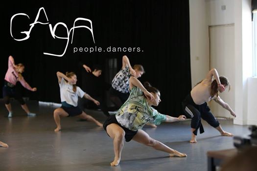 GAGA Movement Practice | TanQi – Holistic Lifestyle for Busy Adults