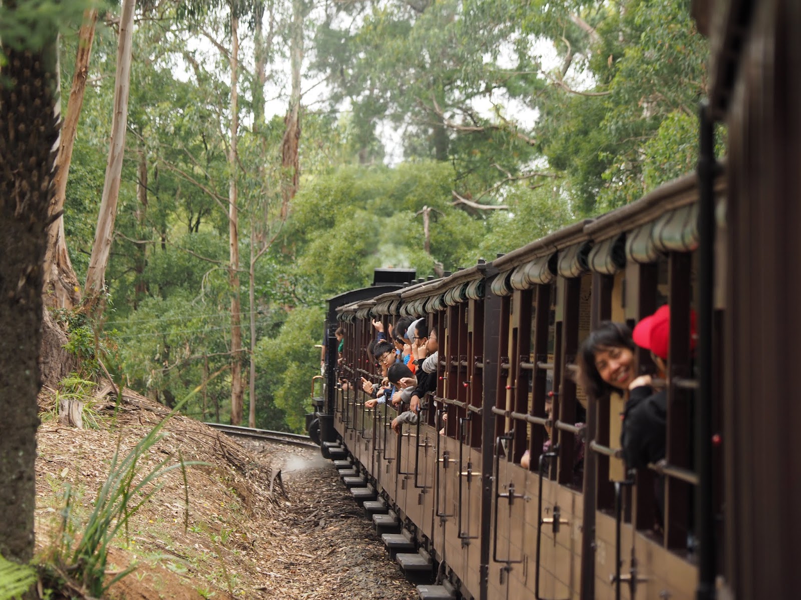 Reisen - Erlebnisse - Impressionen: Dandenong Ranges - Dampfzug Puffing ... Reisen - Erlebnisse - Impressionen: Dandenong Ranges - Dampfzug Puffing ...