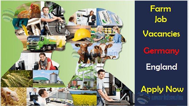 Various farms job vacancies - Worldswin: jobs apply-immigration advice