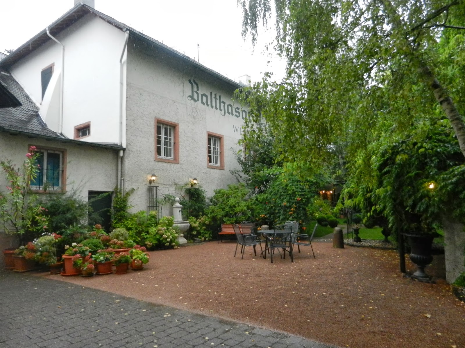 schiller-wine: Tasting at Weingut Balthasar Ress, Hattenheim, Rheingau ...