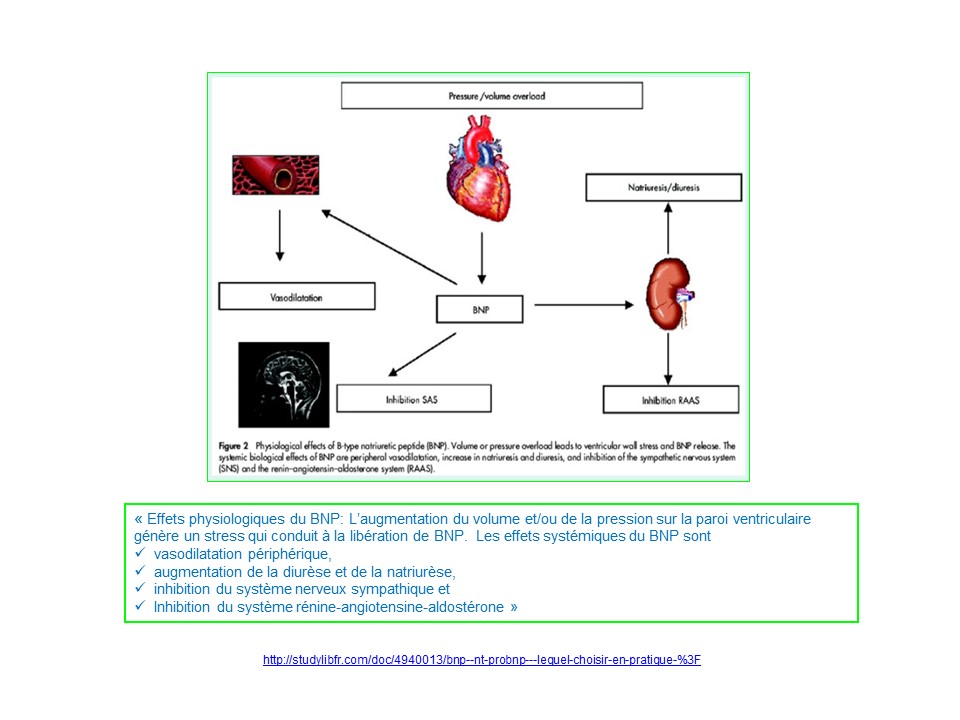 CAnalyses: Etudes de Cas Analyses Medicales: BNP et NT-proBNP sous Entresto