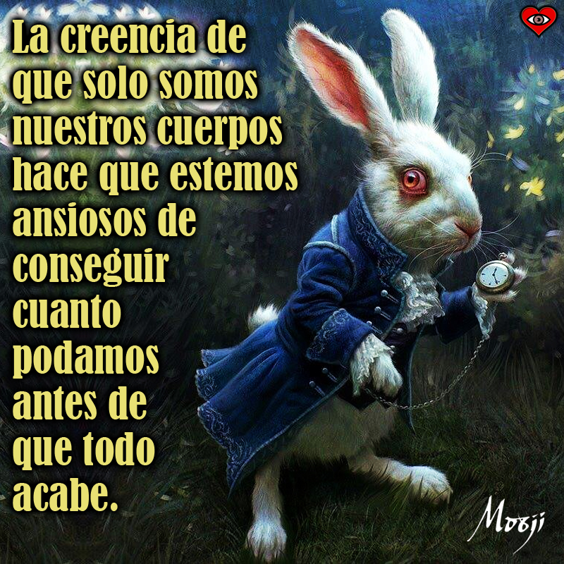 Presente Consciente: lo atemporal...