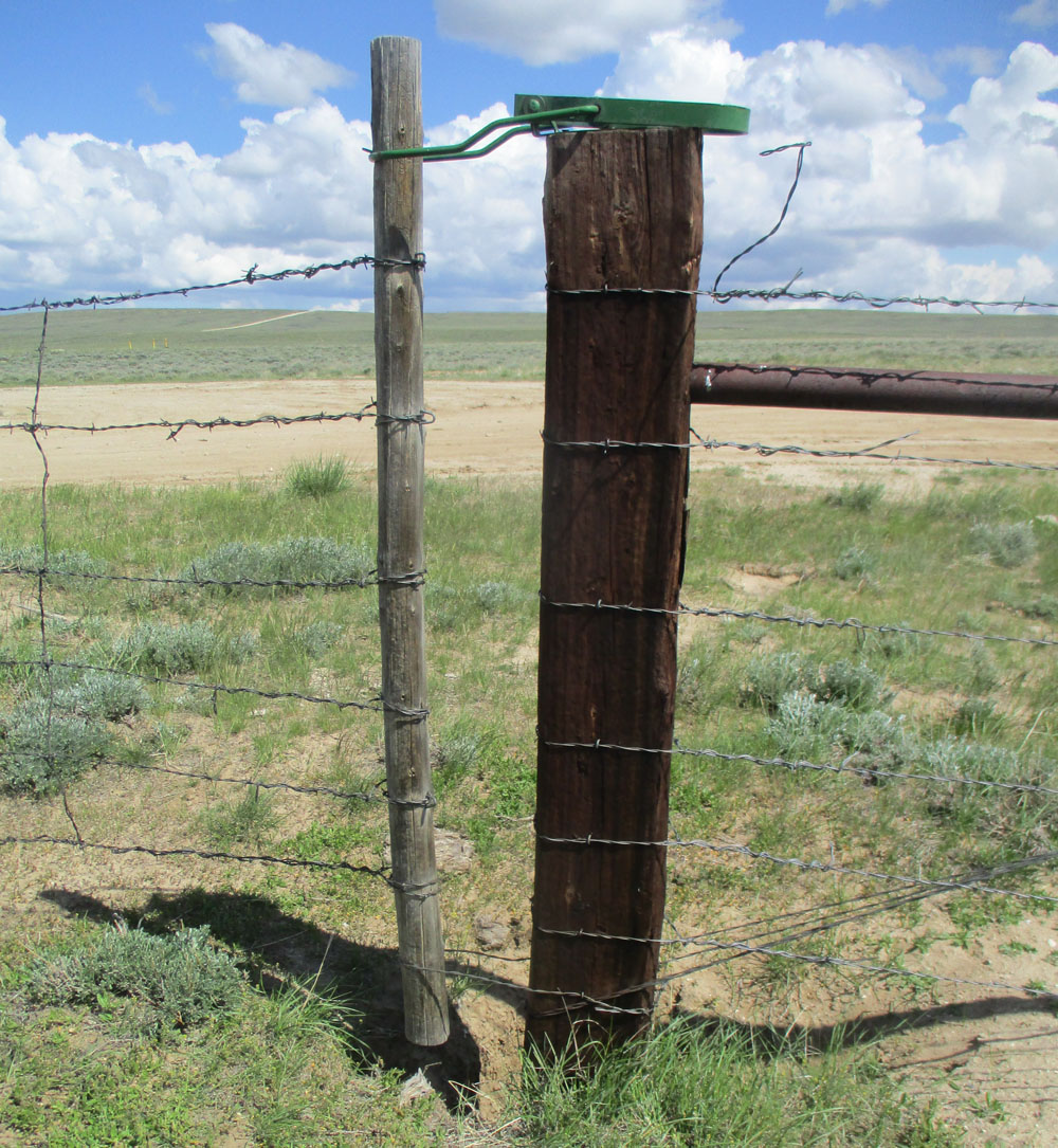The Long Horse Ride Blog: Conquering Wire Gates