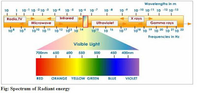 Photosynthetic Pigments ~ Dhiraj's Blog