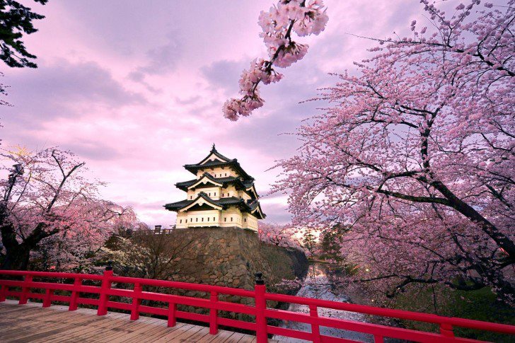 PINK MONDAYS-SPRING IN JAPAN ~ KARMAPOLICE