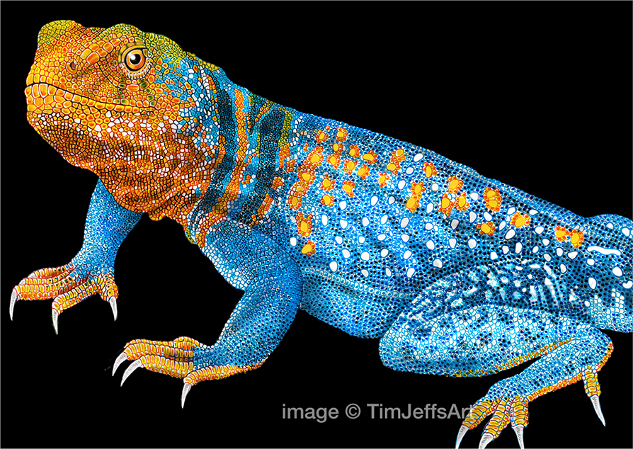 Tim Jeffs Art: Color Drawings