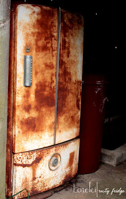 Lorelei Bennett Photography: Rusty old Fridge