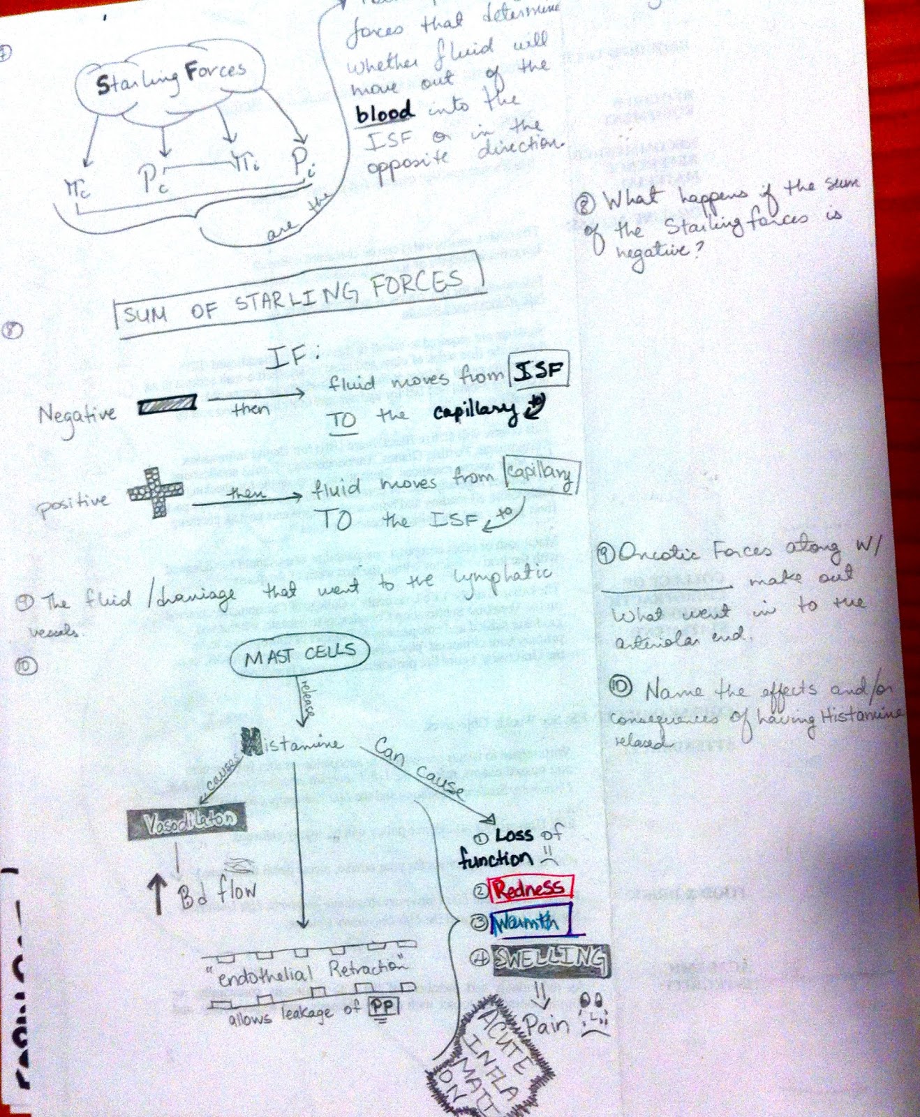 Boards part I visual help: Starling Forces
