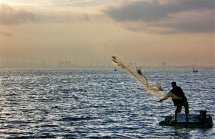 Komunitas Blogger "Cinta Karang": TEBAR JALA, RAUP RUGI