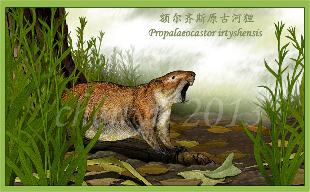 Species New to Science: [PaleoMammalogy • 2002] Propalaeocastor ...