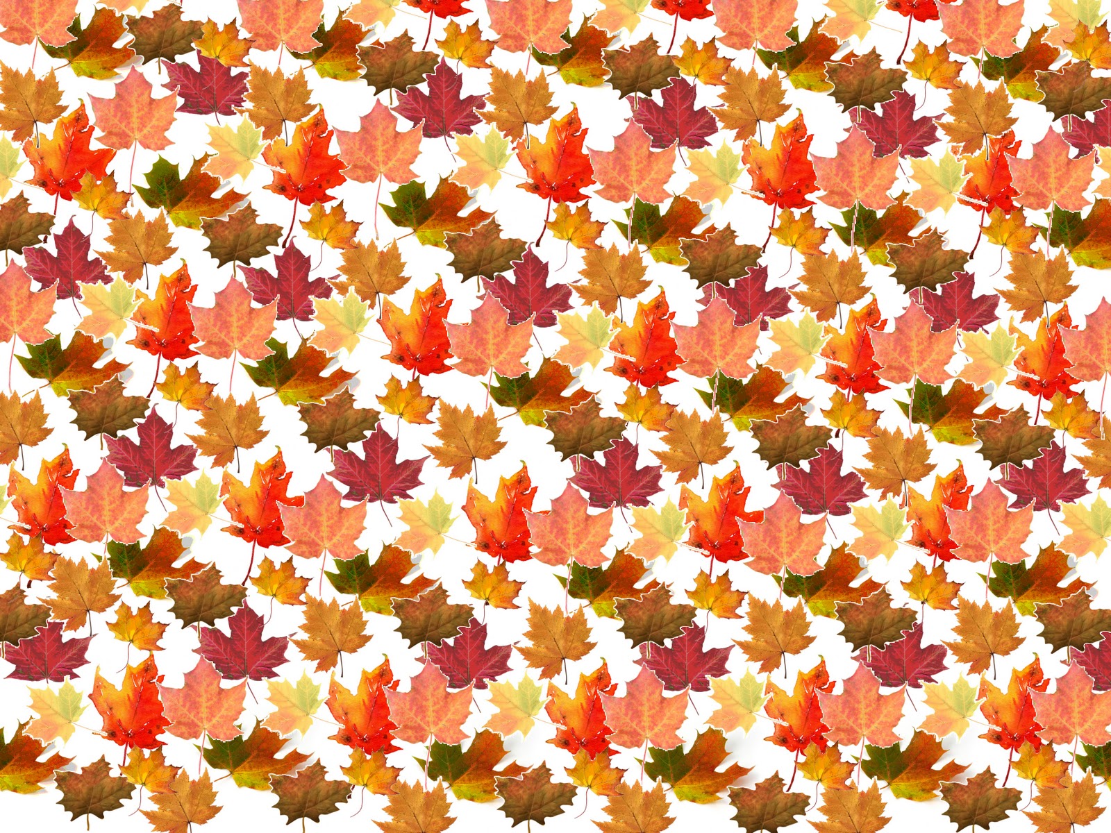 Repeat Wallpaper: Repeat Wallpaper Fall Maple Leaf