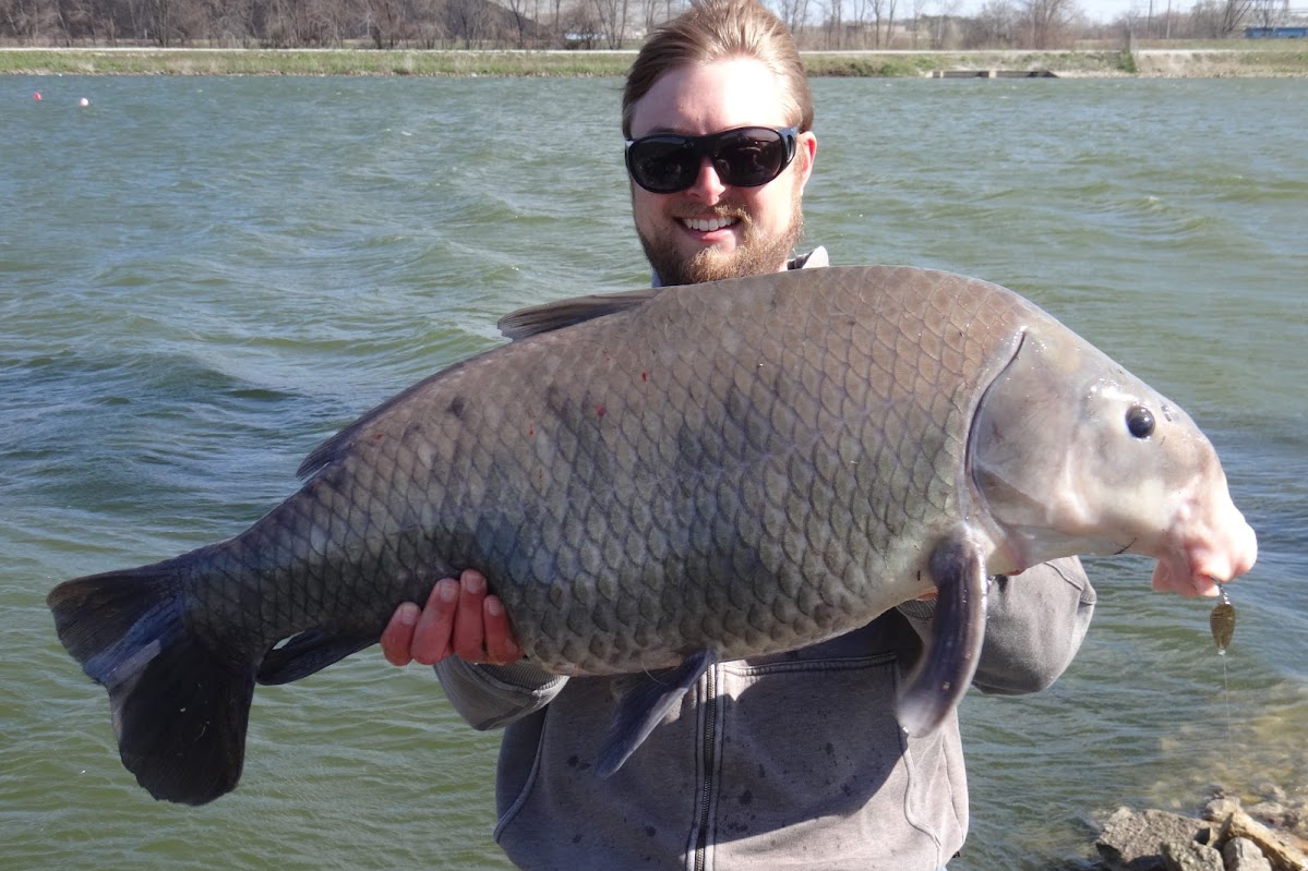 Ben Cantrell's fish species blog: Big Illinois fish