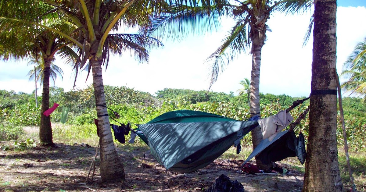 FALSE BLUFF NICARAGUA: Coconut trees and hammocks and the passage of time