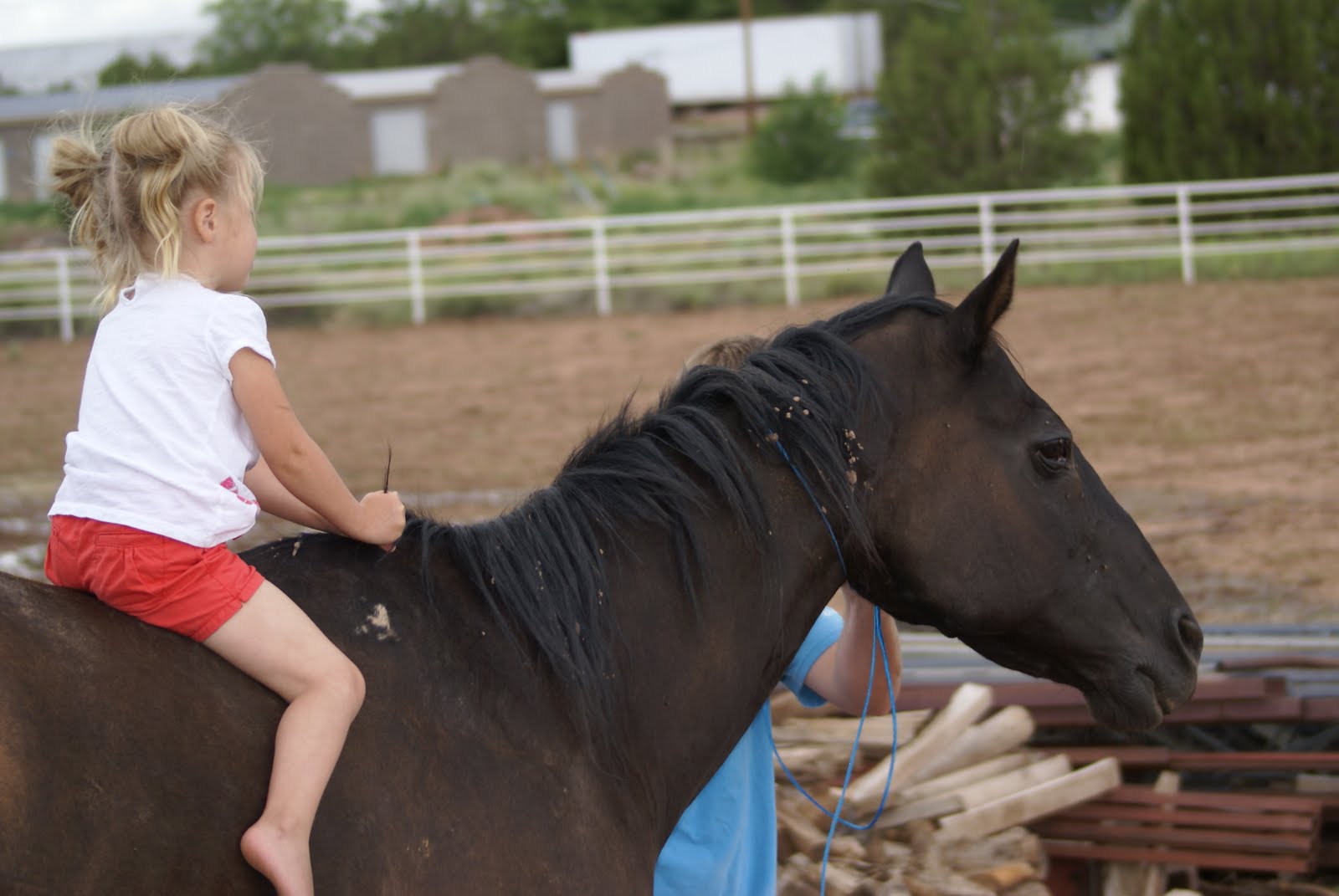 The Young Family: Horse Riding - Bareback style!