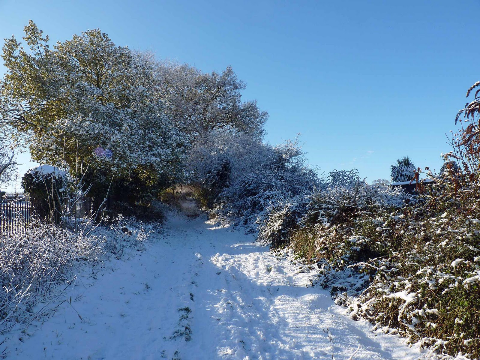 Dorset Allsorts: Snowy Dorset